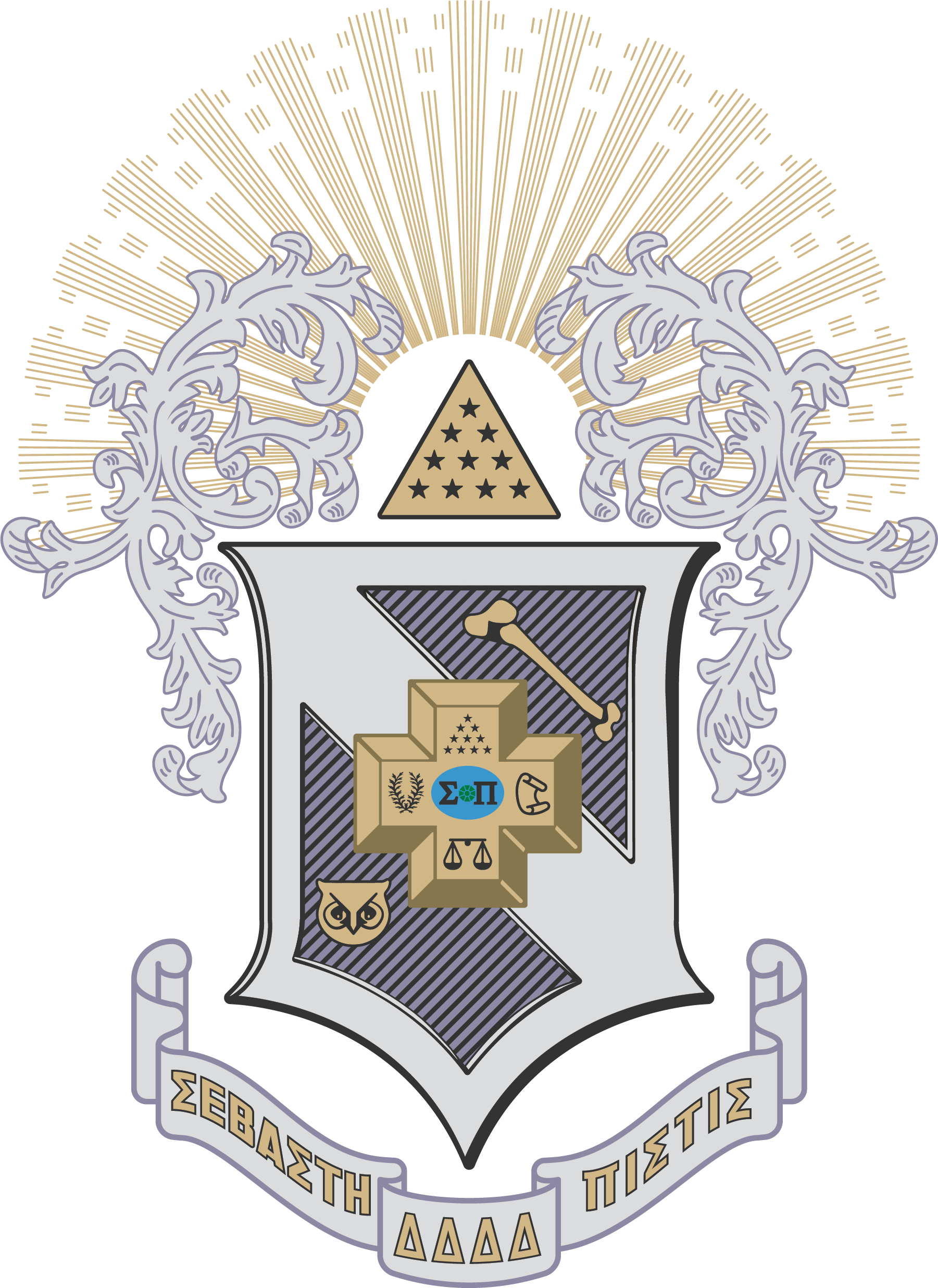 About Sigma Pi Sigma Pi Fraternity